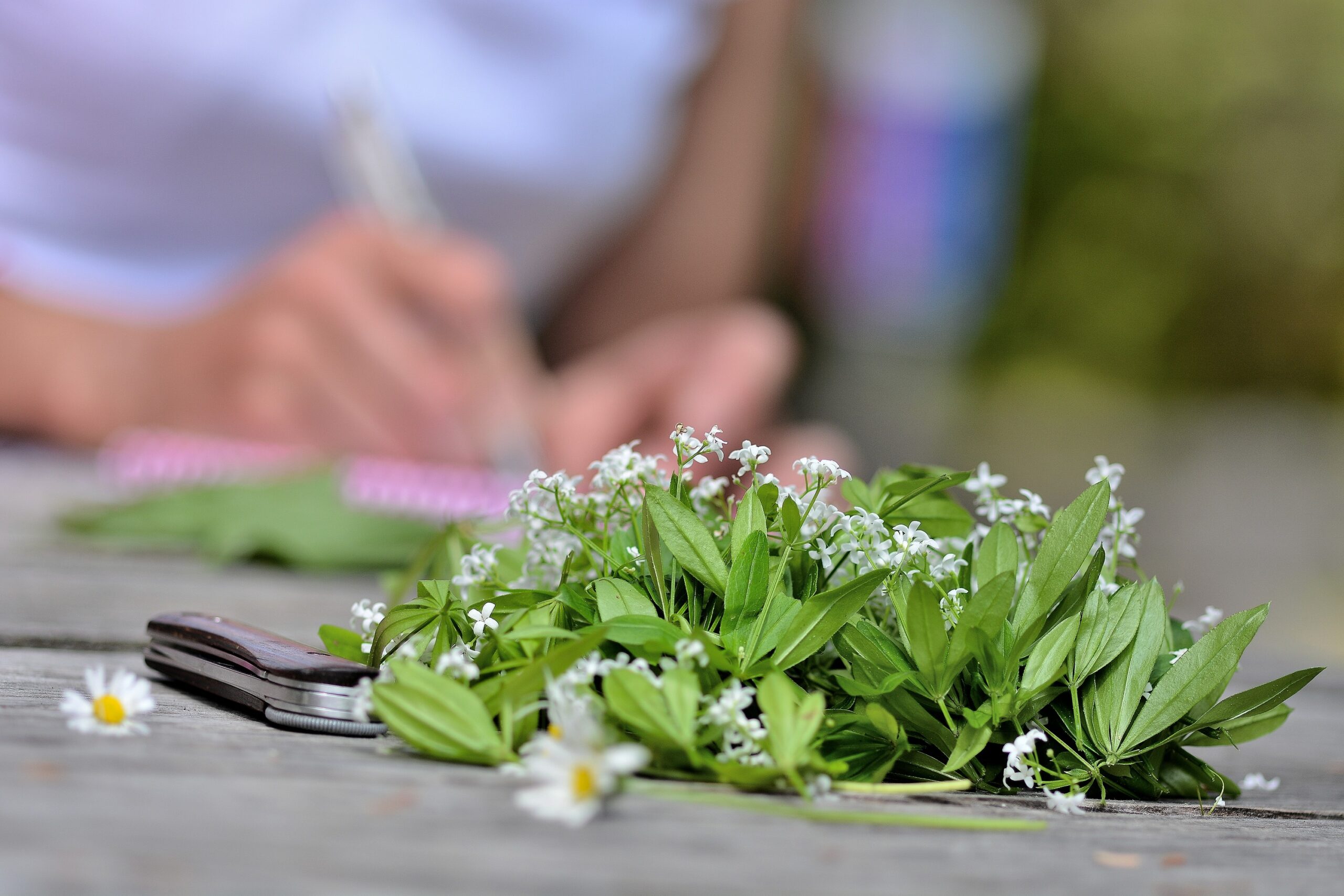 Salon de la santé par les plantes